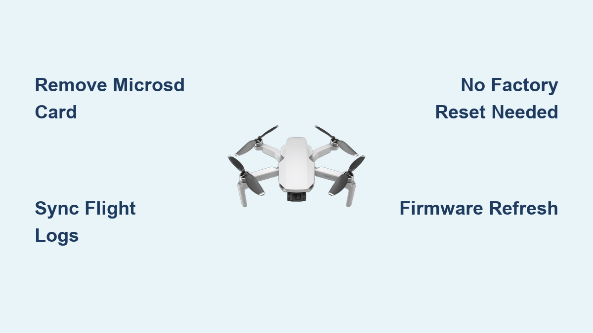 How to Factory Reset DJI Mavic Mini